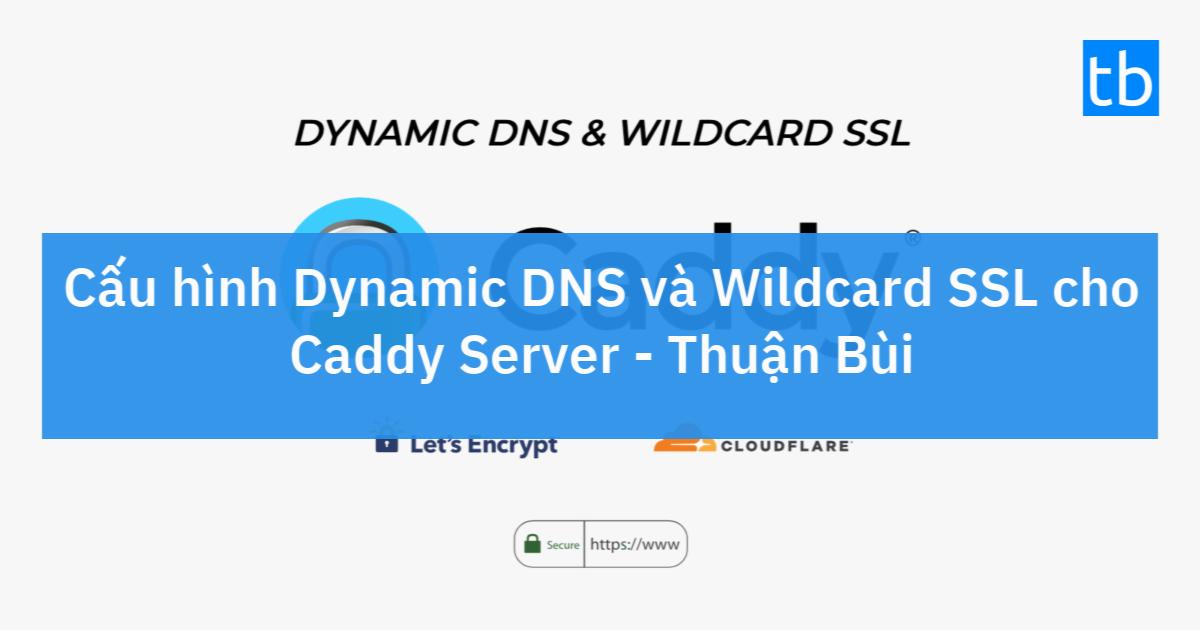 Cấu hình Dynamic DNS và Wildcard SSL cho Caddy Server | Thuận Bùi Blog