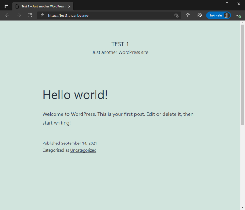 Nginx Proxy Manager Quản Lý Reverse Proxy Trực Quan Bằng Giao Diện